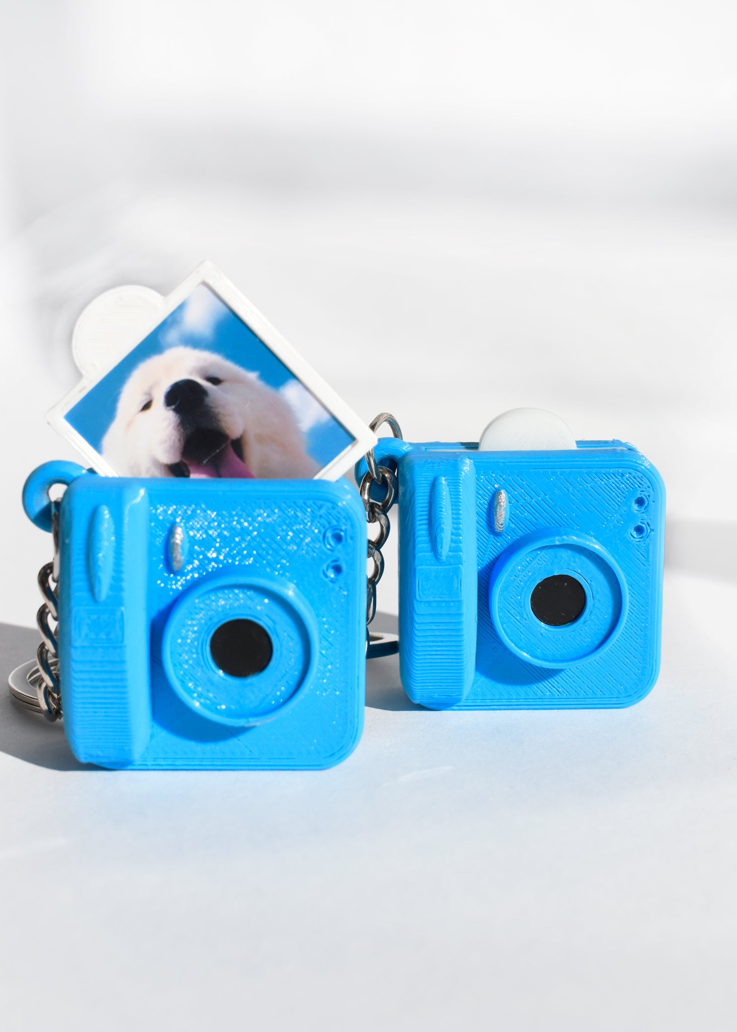 MINI CAMS – LOOLO